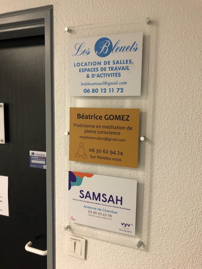 Plaque professionnelle plexiglas médecin - LEONARD DIJON