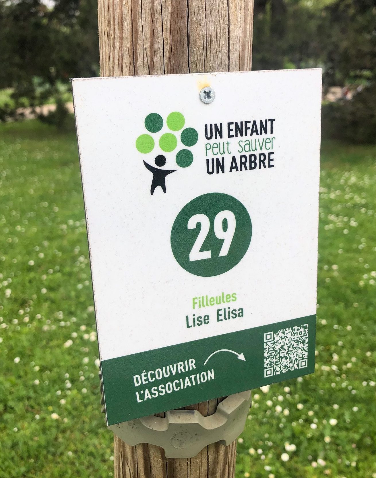 Plaque d'identification de plantes / arbres - LEONARD DIJON